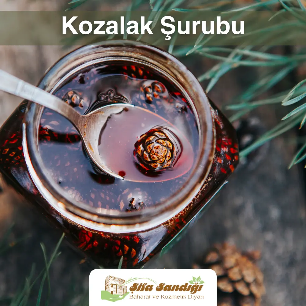 Kozalak Şurubu Nedir? Özellikleri ve Kullanımı - Şifa Sandığı